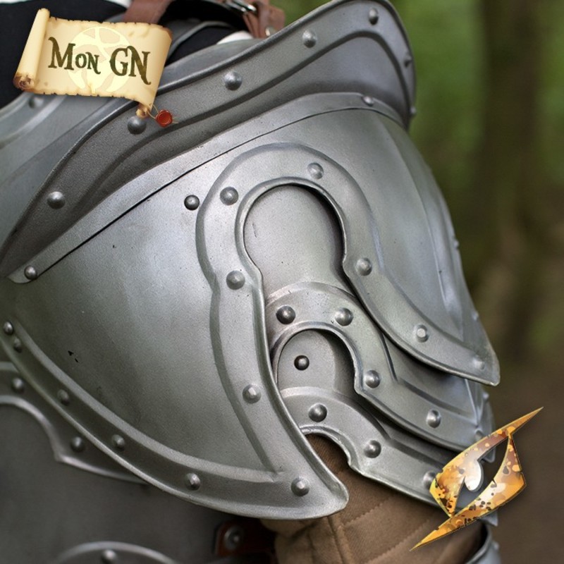 Armure complète du Templier de la Négation